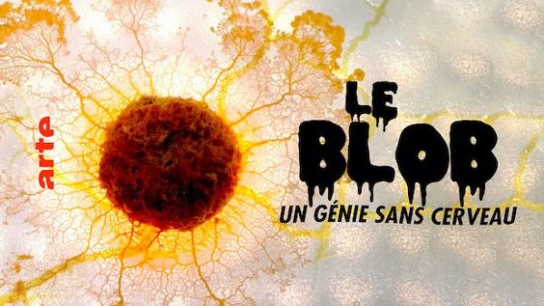 Le Blob - Tous les films sur Horreur.net