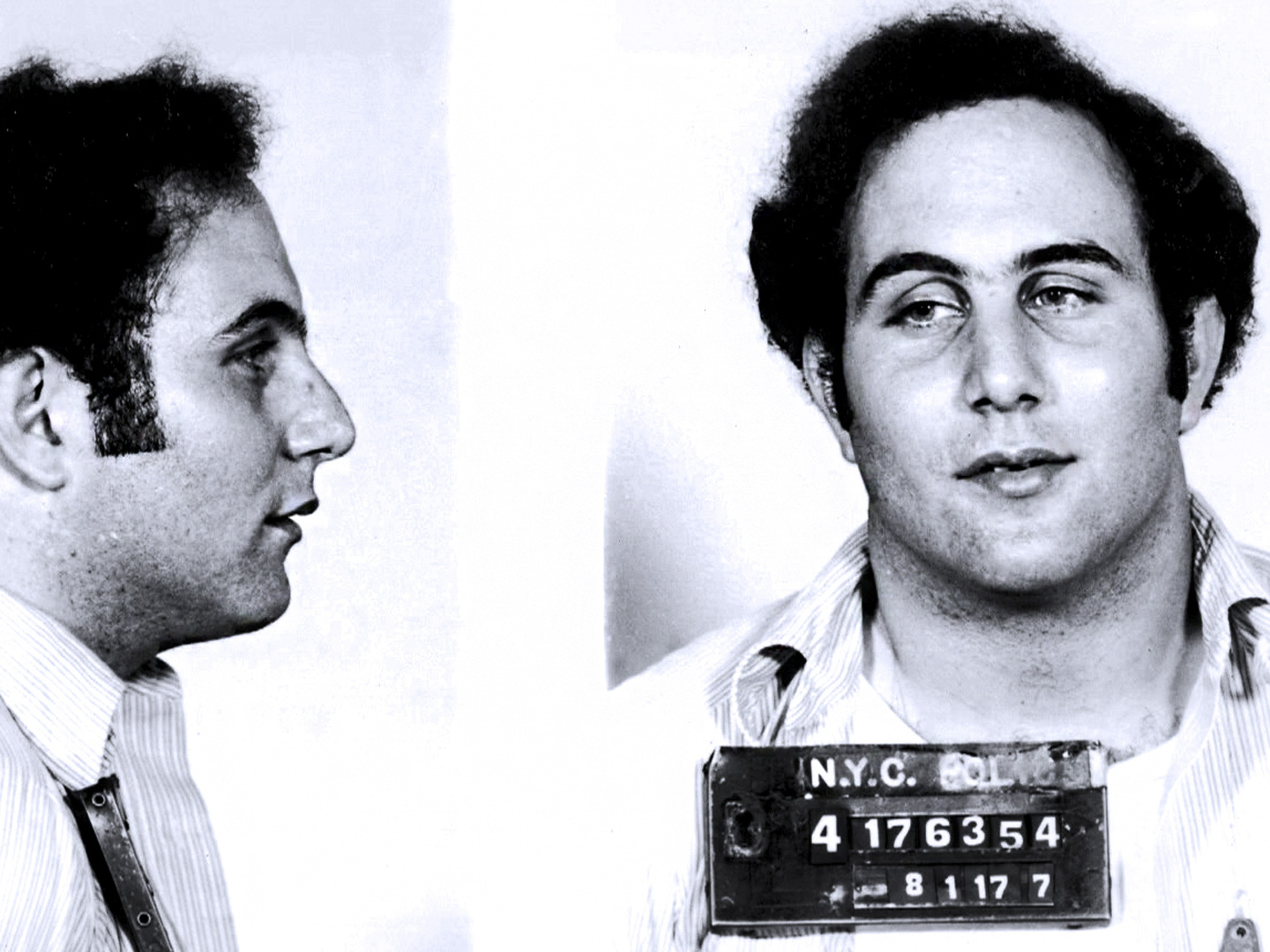 Son of Sam: The Hunt for a Killer (2017) | Horreur.net