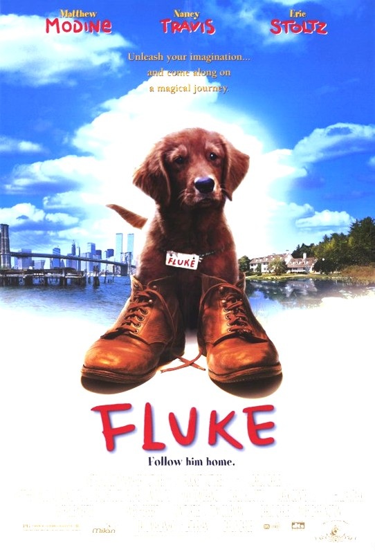 Fluke (1995) | Horreur.net